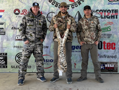 Campfire Conversations 33: West Texas Big Bobcat Contest – The Gold ...